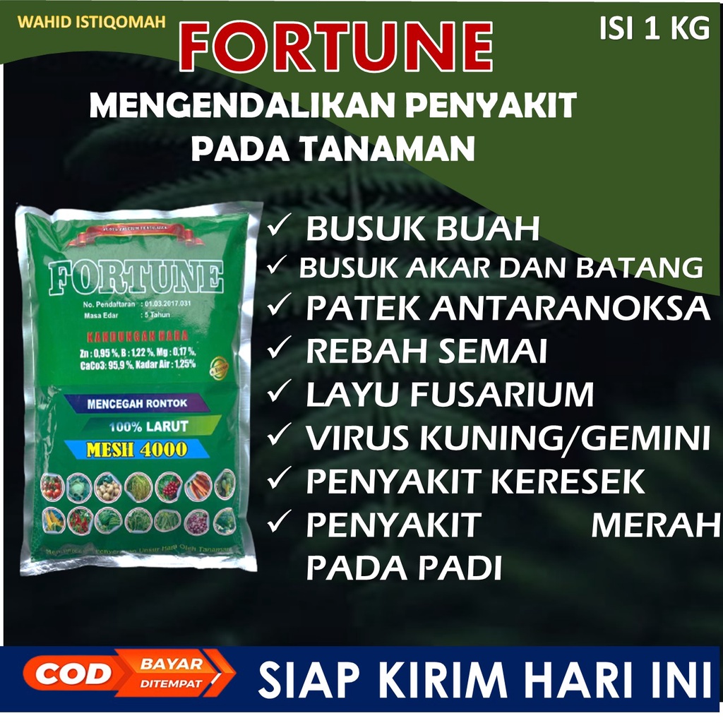 Jual (PROMO MURAH) 1 KG PUPUK FORTUNE ampuh mengendalikan bercak daun ...