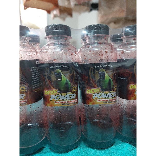 Jual MINUMAN DEXX POWER HORMON INJECTION PENGGACOR LOMBA HARIAN ...