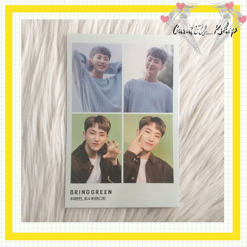 Jual BRING GREEN X SEVENTEEN BSS SPECIAL EDITION POSTCARD PHOTO STICKER ...