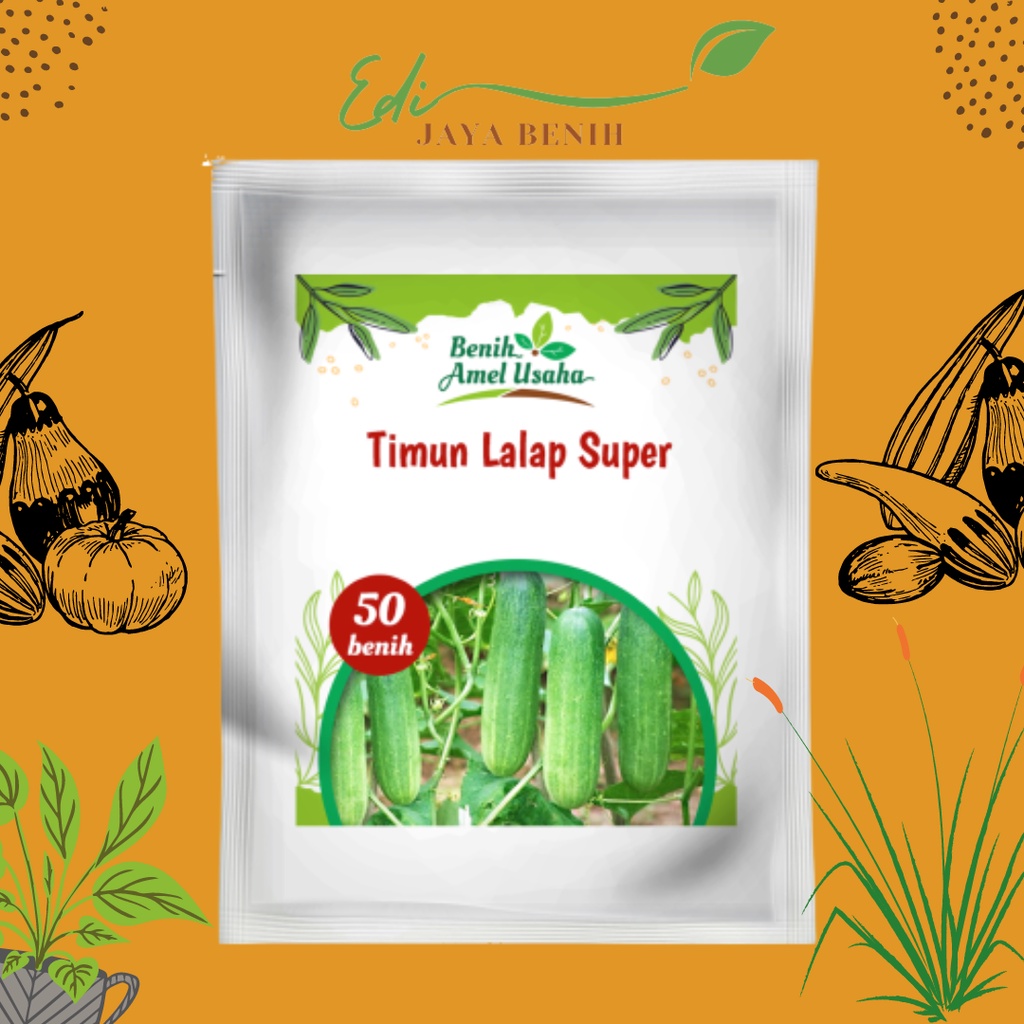 Jual bibit benih timun lalap super isi 50 biji / benih timun lalap ...