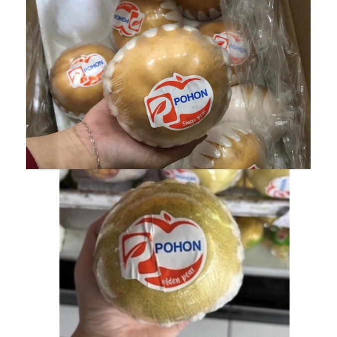 Jual 900-1000gr buah pear singo pohon (warna coklat) & pear golden ...