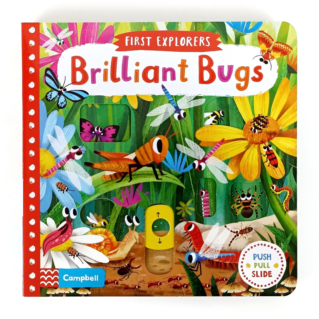 Jual ORIGINAL Campbell First Explorers Brilliant Bugs | Shopee Indonesia