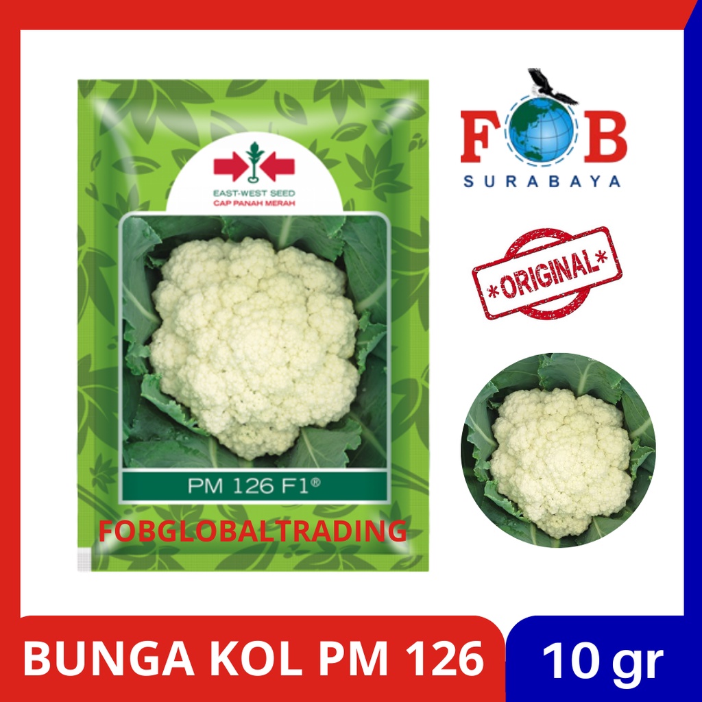 Jual BENIH BUNGA KOL PM 126 F1 10GR KEMBANG KOL PANAH MERAH | Shopee ...