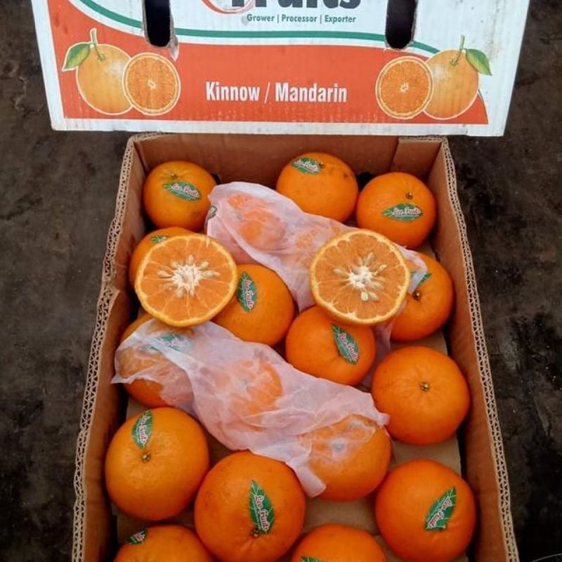 Jual Jeruk Kino Pakistan 1 Kardus ( 10 - 11 Kg ) | Shopee Indonesia