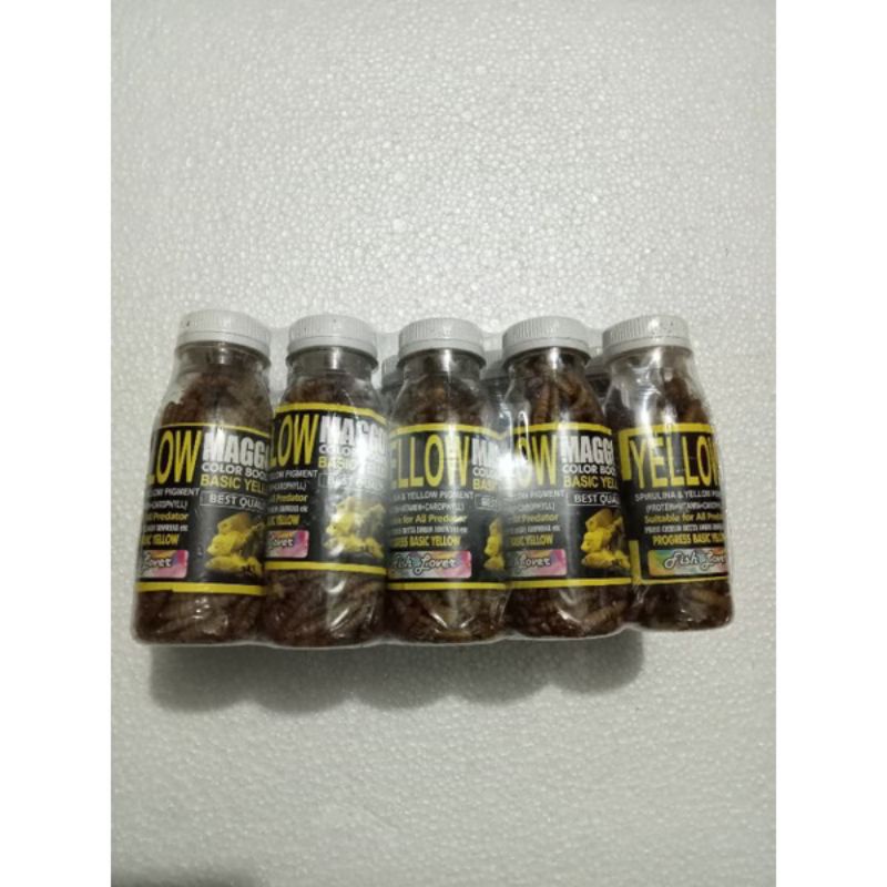 Jual MAGGOT ALL MERK BOTOL KECIL 15 GRAM pakan ikan chana MAGGOT KERING ...