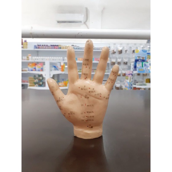 Jual Hand Model utk akupunture | Shopee Indonesia