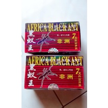 Jual Semut Afrika Original 1 Box 3 Kotak kecil 18kapsul isi kapsul ...