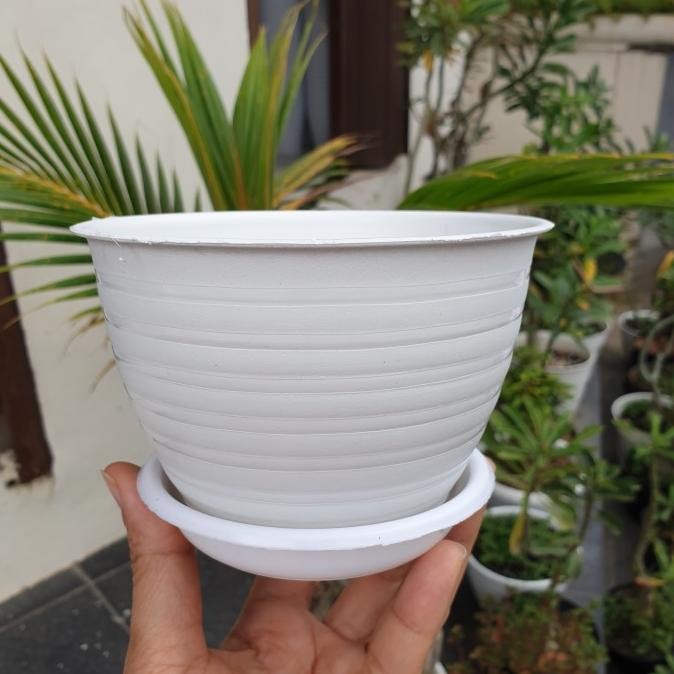 Jual (1 Set) Mdn Uk 12 + Tatakan Pot Kecil Model Tawon Pot Murah ...