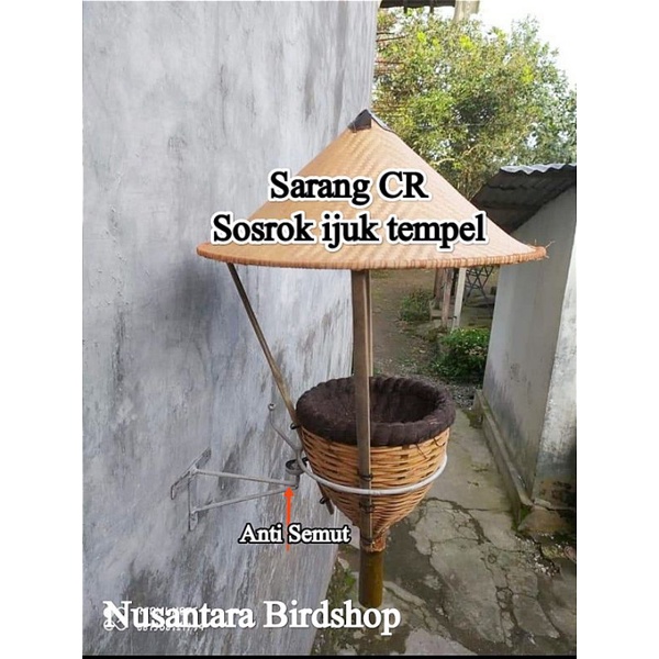 Jual Sarang Cucak Rowo Sosrok ijuk Tempel | Shopee Indonesia