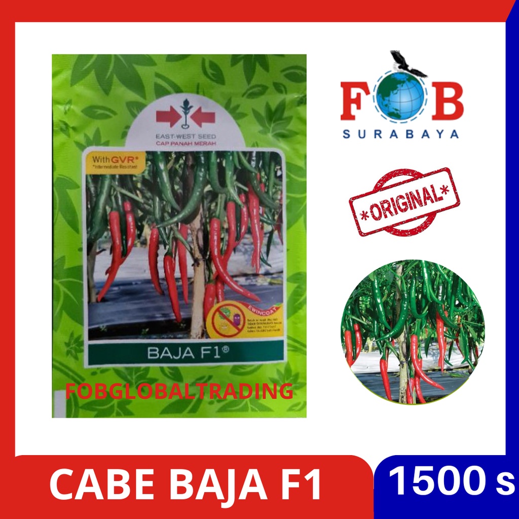 Jual BENIH CABE MERAH BAJA F1 1500 BUTIR MEREK PANAH MERAH | Shopee ...