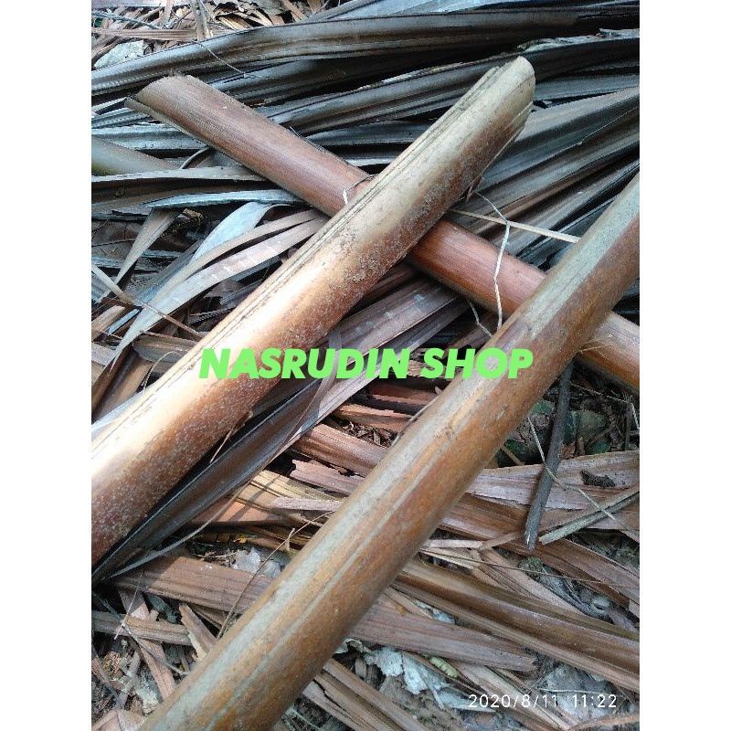Jual PELEPAH DAHAN POHON SAGU ATAU RUMBIA UNTUK PRAKARYA | Shopee Indonesia
