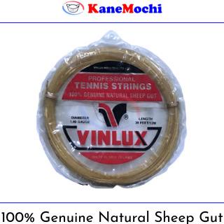 Jual Vinlux Professional Tennis Strings 100% Genuine Natural Sheep Gut ...