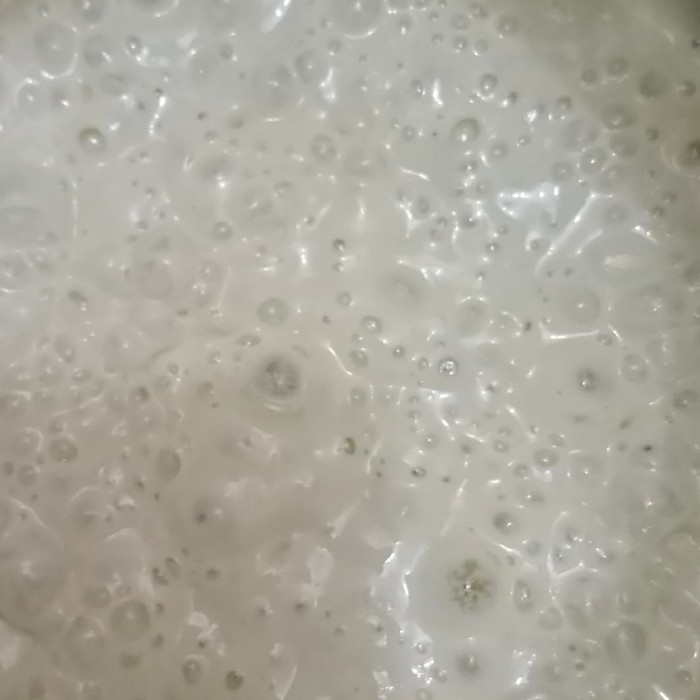 Jual Ragg Sourdough Starter / Ragi Alami 30Gr | Shopee Indonesia