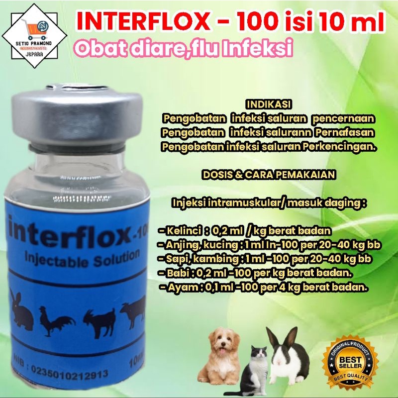 Jual obat diare flu interflox injeksi 10 ml untuk hewan ayam kelinci ...