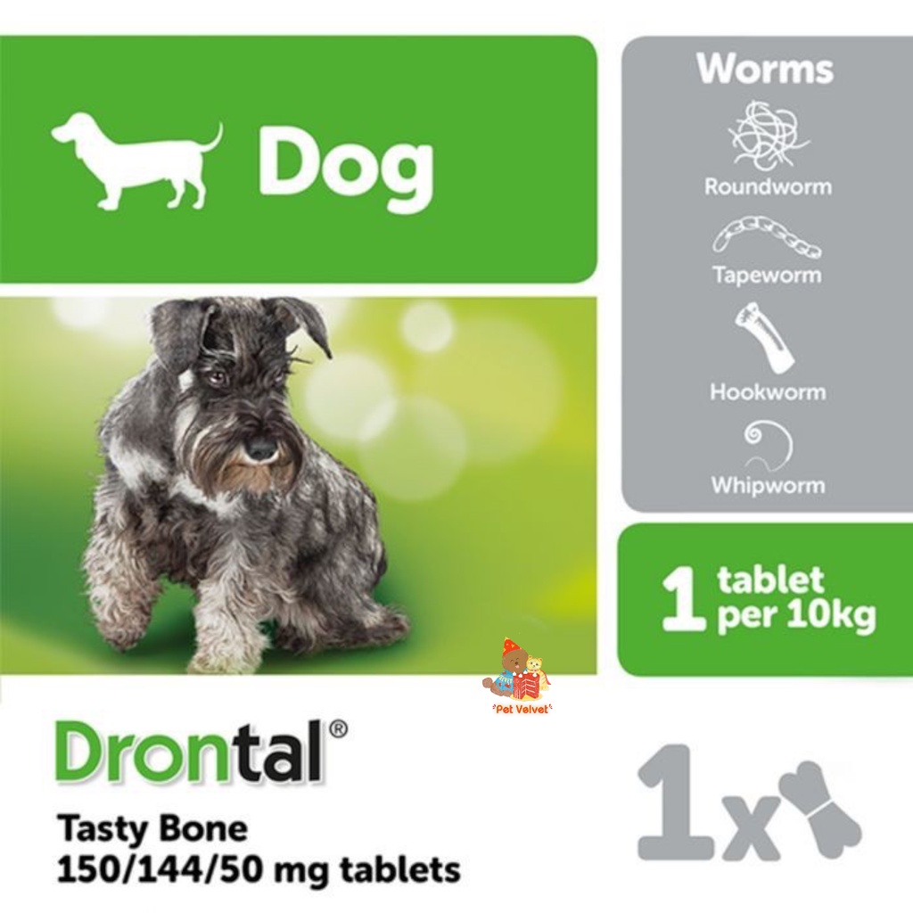 Jual Drontal Dog Original Bayer - Obat Cacing Anjing Bentuk Tulang (1 ...