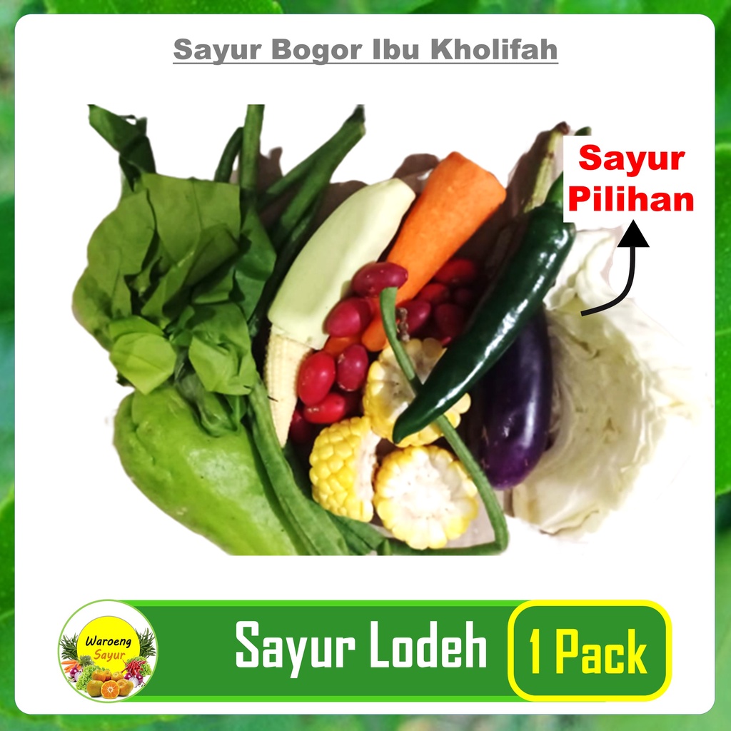 Jual Sayur Lodeh Lengkap Paket Siap Masak Sayur Segar Bogor | Shopee ...