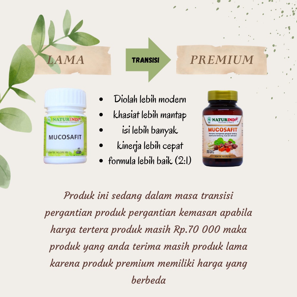 Jual Obat Herbal MUCOSAFIT Naturindo (Spesial Atasi Lambung ...