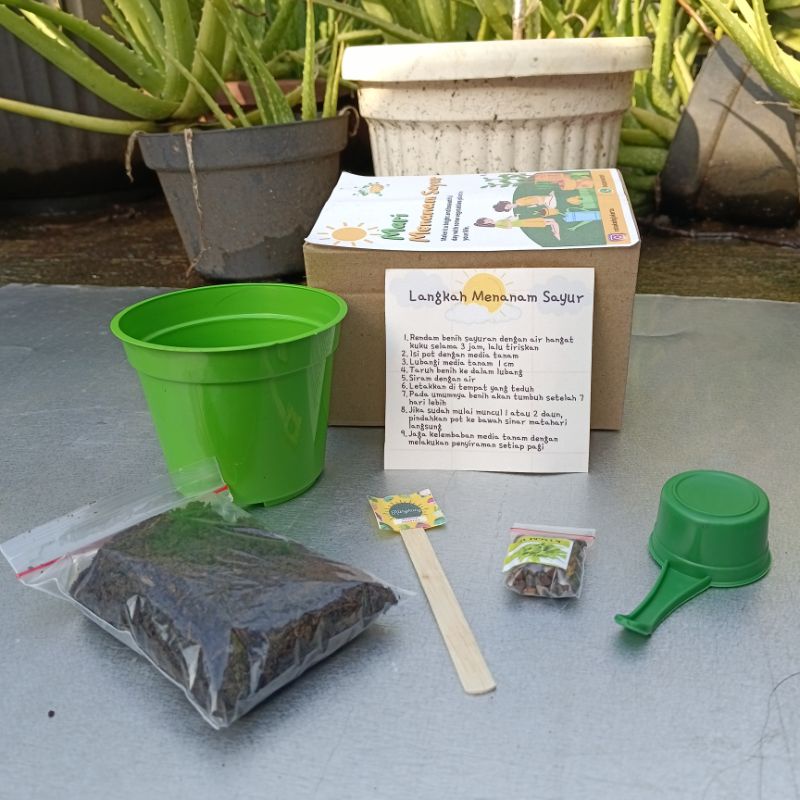 Jual Paket Menanam Sayur Anak | Grow Kit | Belajar Berkebun | Mainan ...