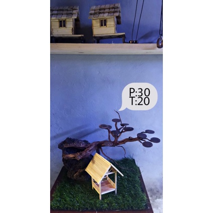 Jual Pohon Bonsai Aquascape Gazebo Shopee Indonesia
