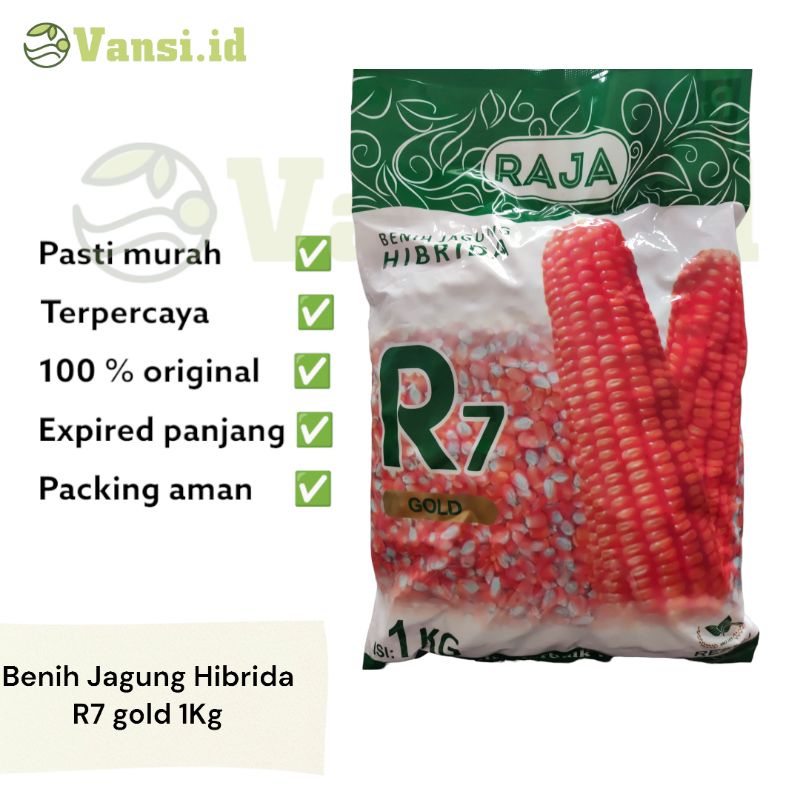 Jual Benih jagung hibrida R7 GOLD isi 1kg dari RAJA S (ekspired july 2023) | Shopee Indonesia