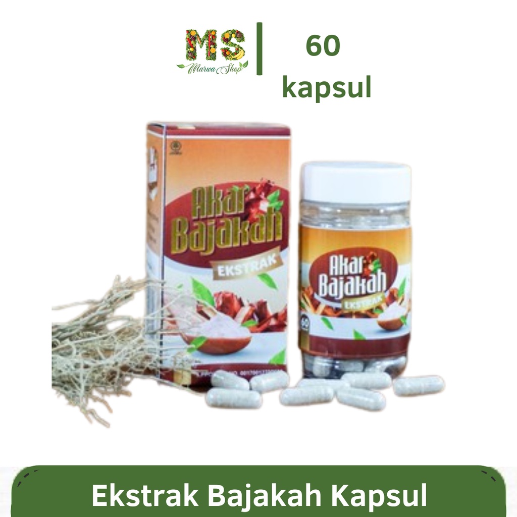 Jual Kapsul Bajakah Kapsul Akar Bajakah Ekstrak Bajakah Serbuk Bajakah ...