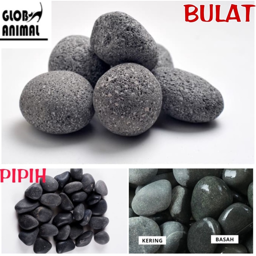 Jual BATU KORAL HITAM ZAK batu taman black lava volcano batu alor batu ...