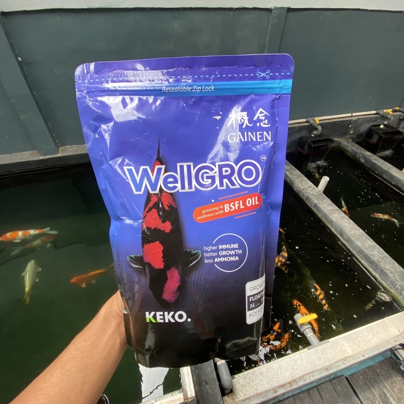 Jual Wellgro Koi Gainen 2KG / 1KG 2 KG 1 KG Pakan Ikan Pelet Well Gro ...