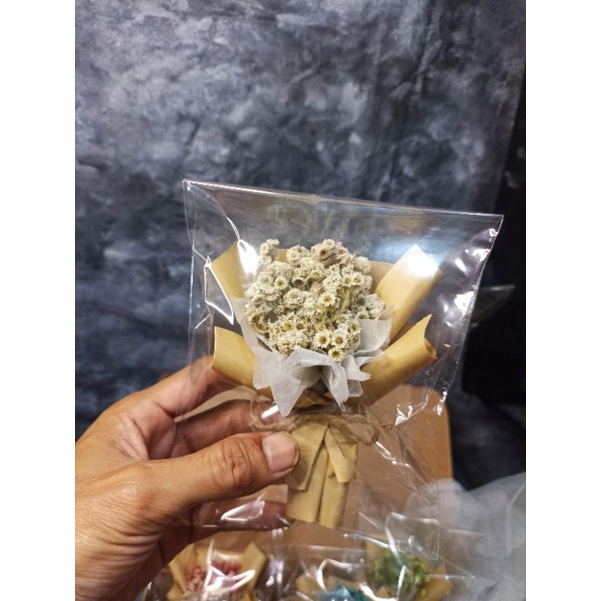 Jual mini buket bunga kering edelweis series | Shopee Indonesia