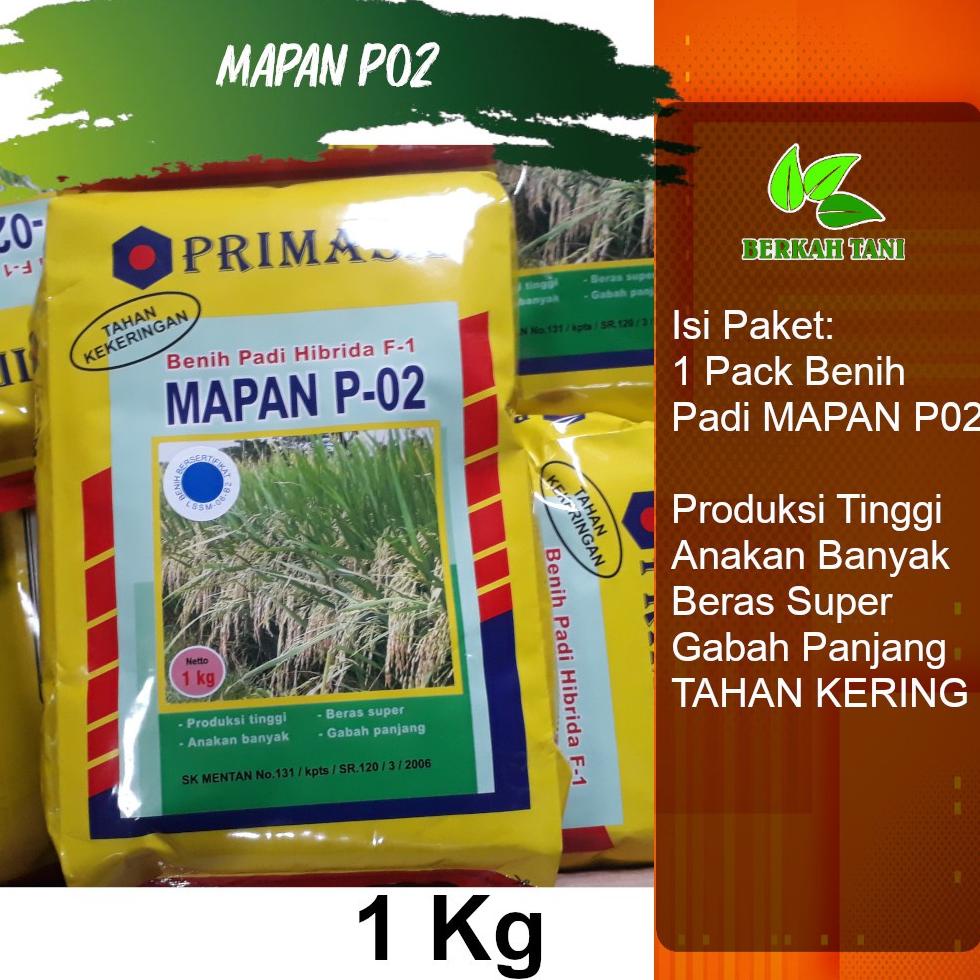 Jual Terjangkau - Mapan P02 Mapan P 02 Benih Padi Hibrida Kemasan 1 Kg Original ,, | Shopee ...