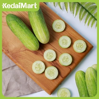 Jual Timun 1 Kg Terlengkap & Harga Terbaru Oktober 2025 | Shopee Indonesia