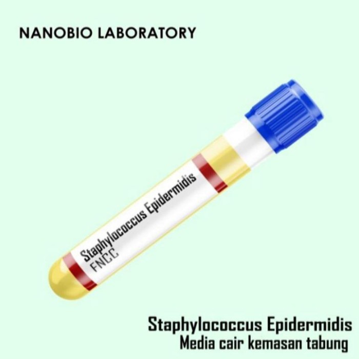 Jual ISOLAT BAKTERI STAPHYLOCOCCUS EPIDERMIS MEDIA GEL - CAIR 100ML ...