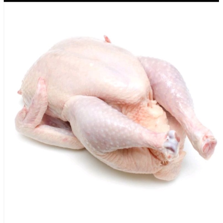 Jual Daging Ayam Utuh Frozen Fresh 1kg | Shopee Indonesia