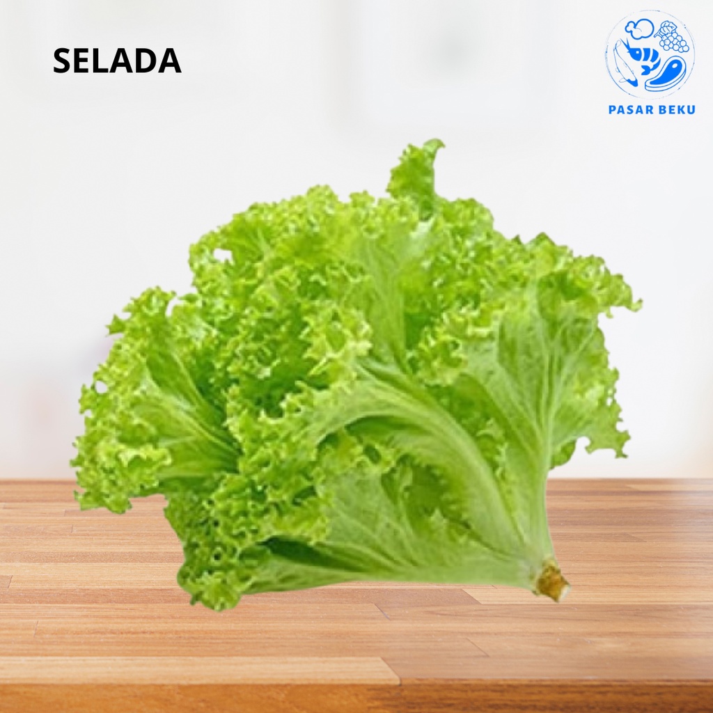 Jual Selada Keriting 250gr Sayuran Fresh Padang | Shopee Indonesia