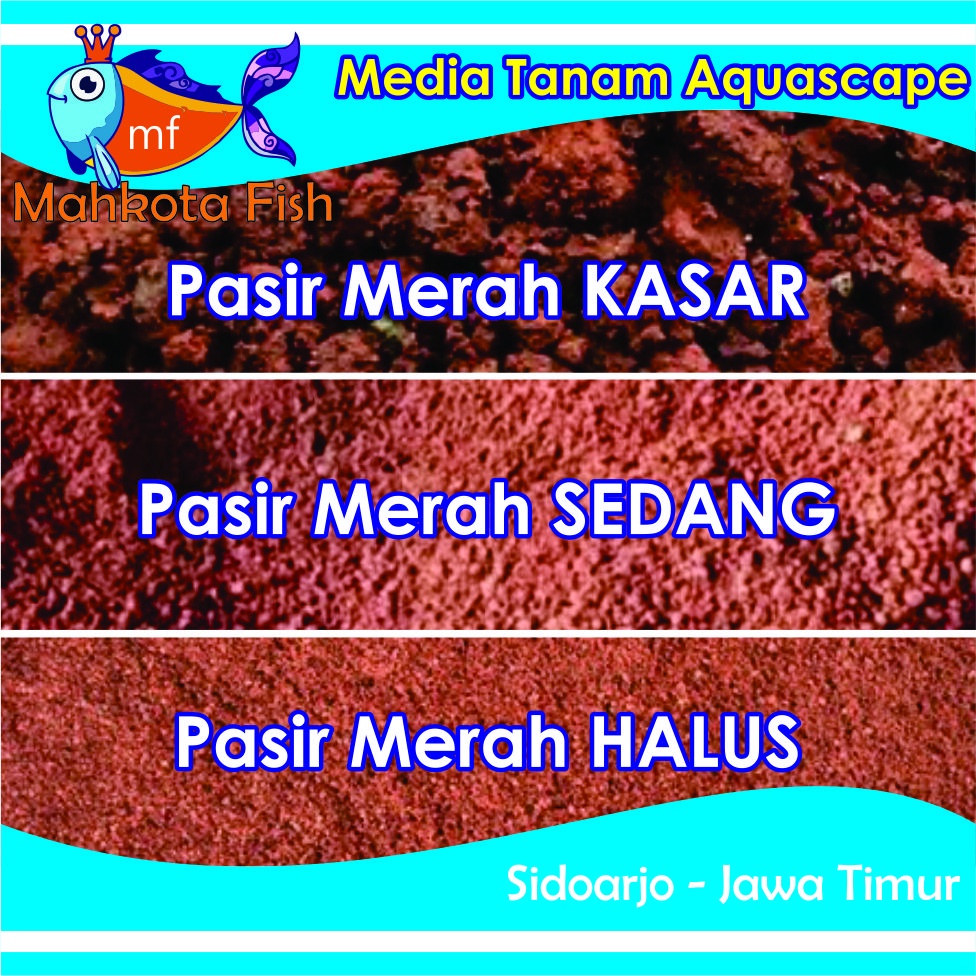 Jual Pasir Malang Merah 500 gram | Pasir Merah | Pasir Aquascape ...