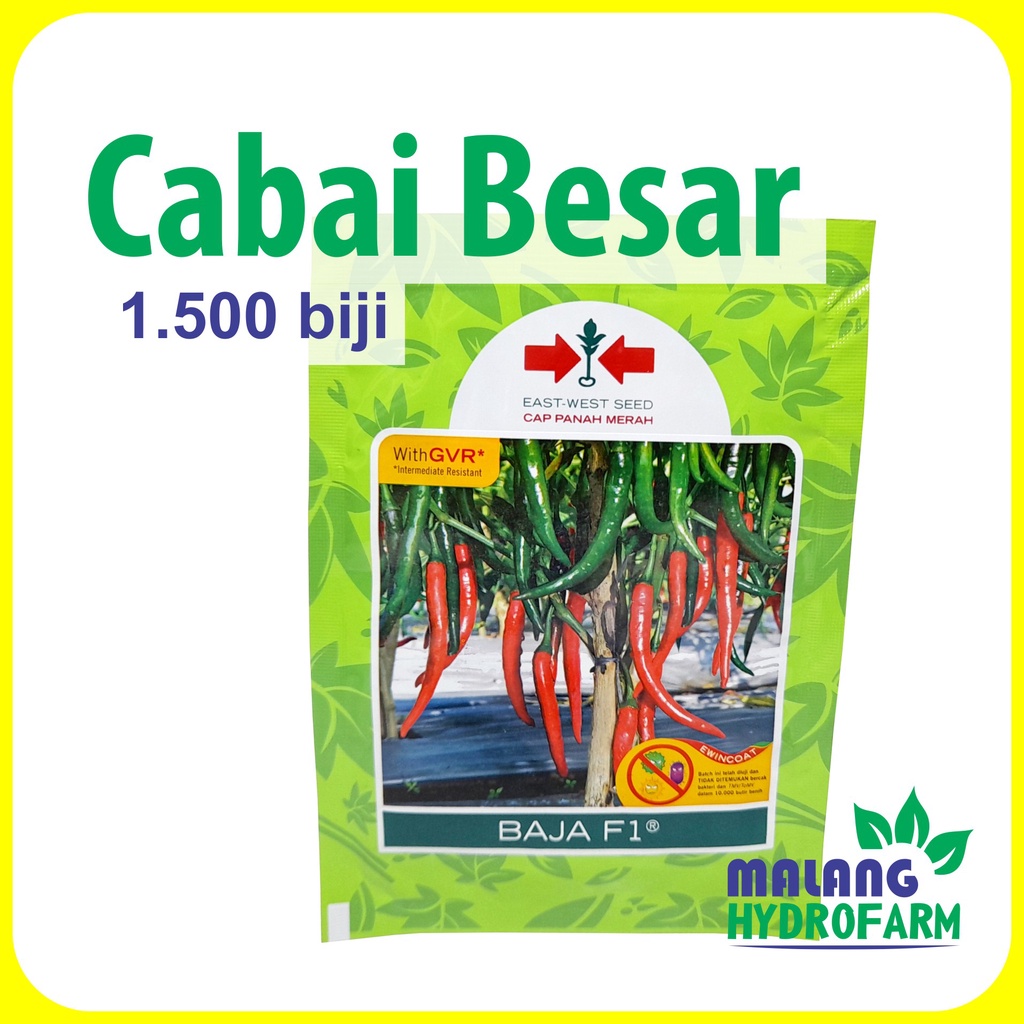 Jual Benih Cabai Merah Besar Baja F1 1500 butir Cap Panah teropong ...