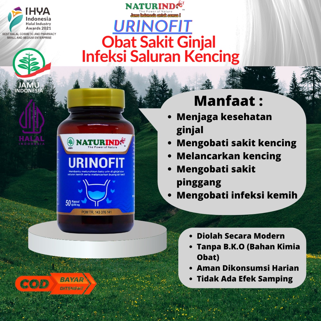 Jual Obat Sakit Ginjal Infeksi Saluran Kencing Obat Ginjal Kiri sebelah ...