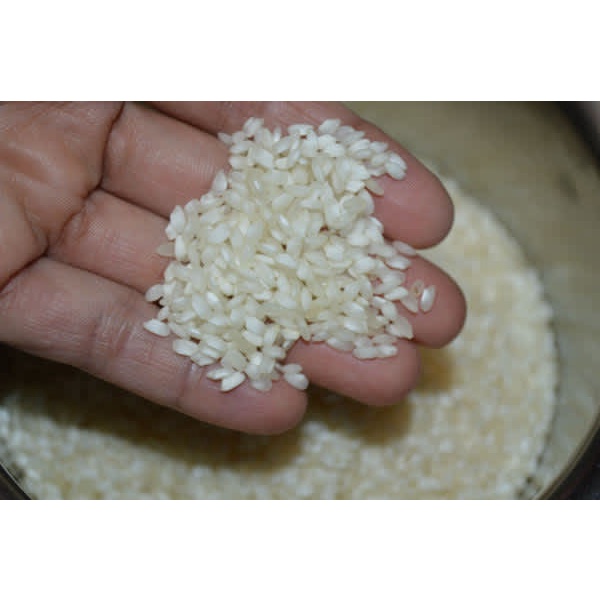 Jual Indian Idly / Dosa Rice 1kg | Shopee Indonesia