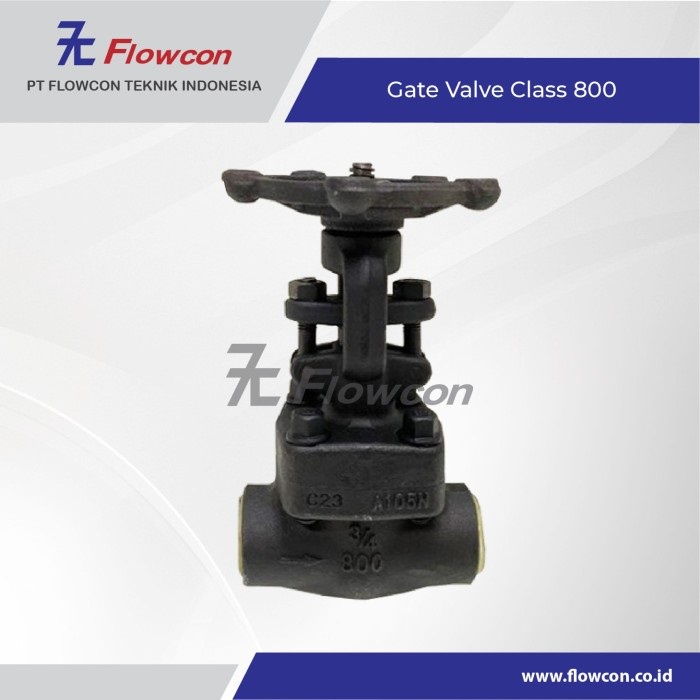 Jual GATE VALVE CLASS 800 THREADED NPT 1/2" FLOWCON | Shopee Indonesia