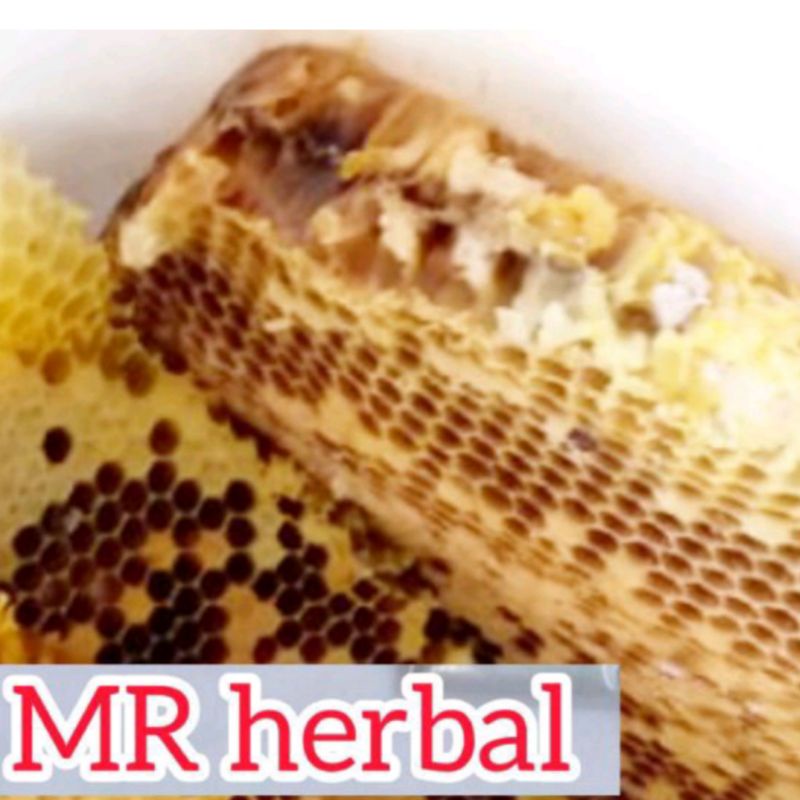 Jual Telur lebah asli larva lebah segar fres per 1 kg | Shopee Indonesia