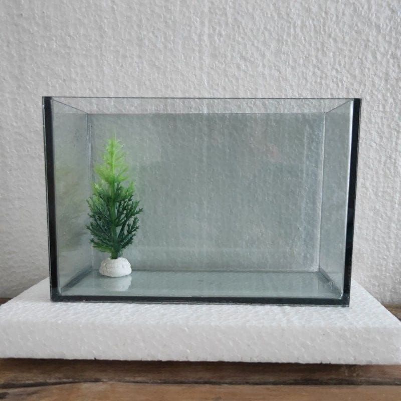 Jual AQUARIUM MINI/SOLITER 17×15×15 | Shopee Indonesia
