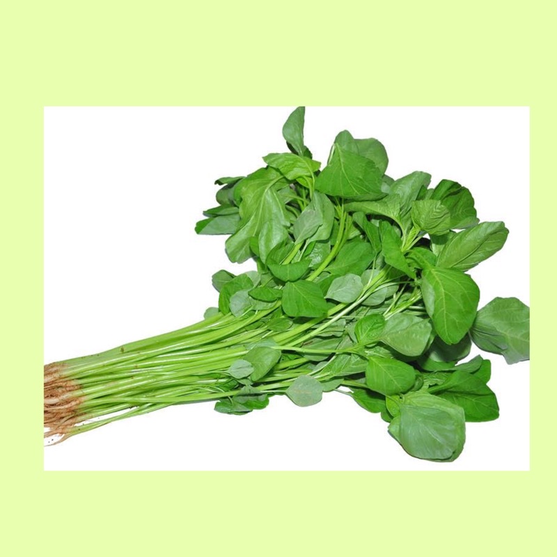 Jual Sayur bayam / bayem / bayam fresh / spinach | Shopee Indonesia