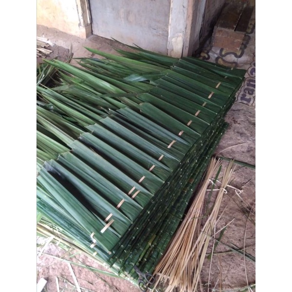 Jual Atap rumbia / atap kirai / atap daun nipah (10lembar / 5,000 ...