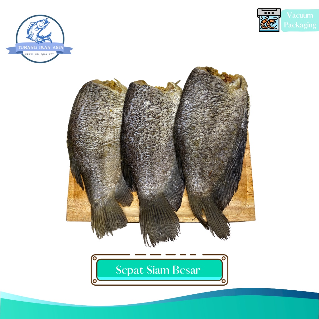 Jual Ikan Asin Sepat Siam | Sepat Kualitas Super | Shopee Indonesia