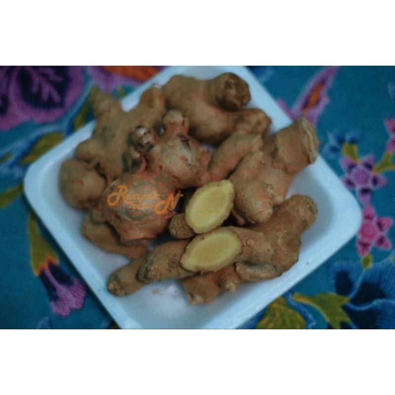 Jual Rempah - Rimpang - Jahe Gajah 200 gr | Shopee Indonesia