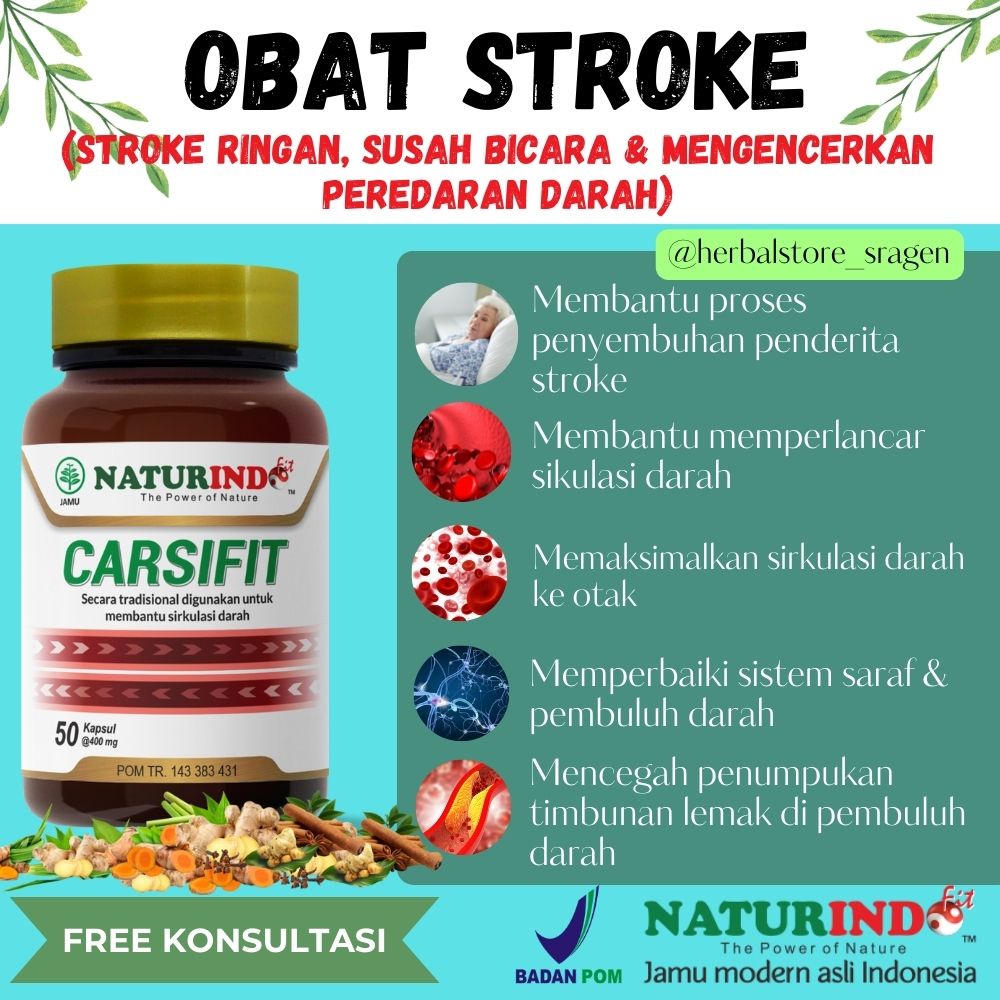 Jual Obat Herbal Atasi Stroke Strok Struk Ringan Stroke Menahun Lumpuh ...