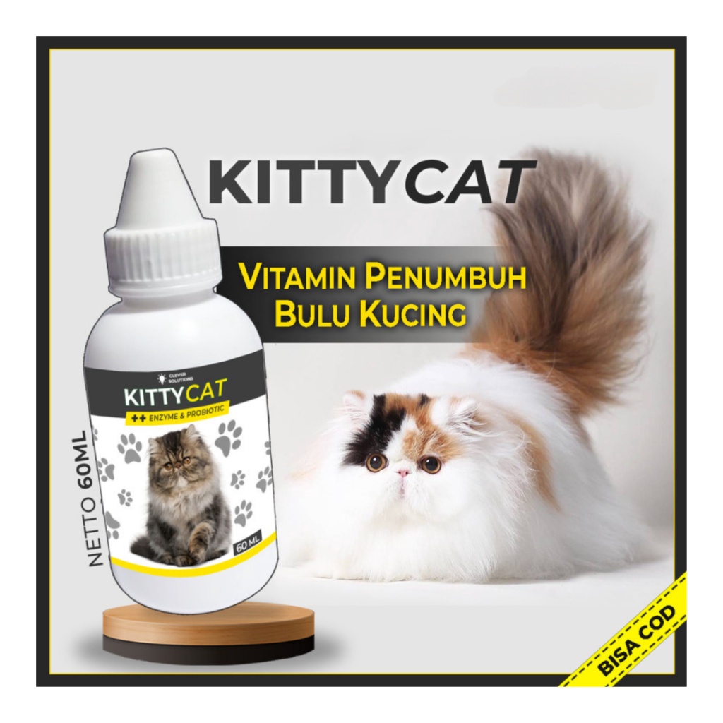 Jual KITTY CAT Vitamin Penumbuh Bulu Kucing ~ Obat Penumbuh Bulu Kucing ...