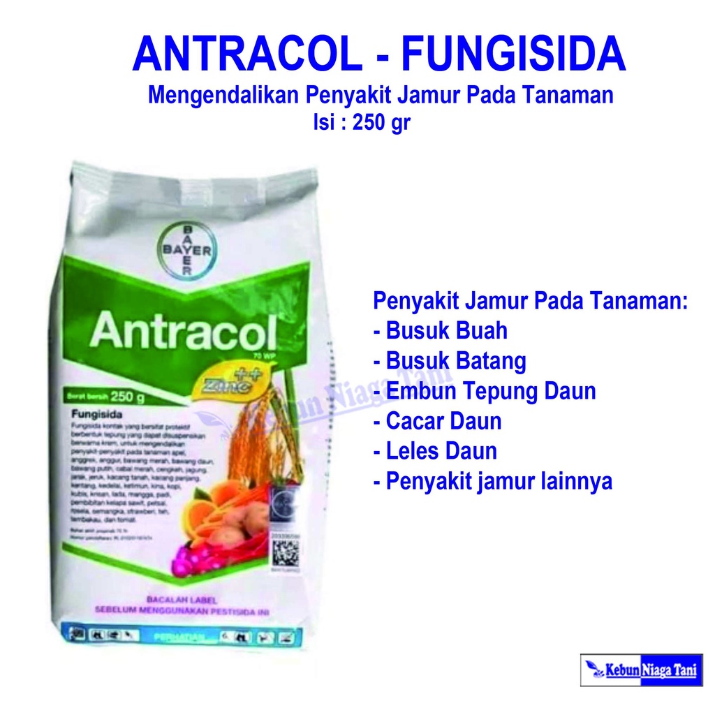 Jual Fungisida ANTRACOL 70WP - Antracol 250 gram - Fungisida Anti Jamur ...