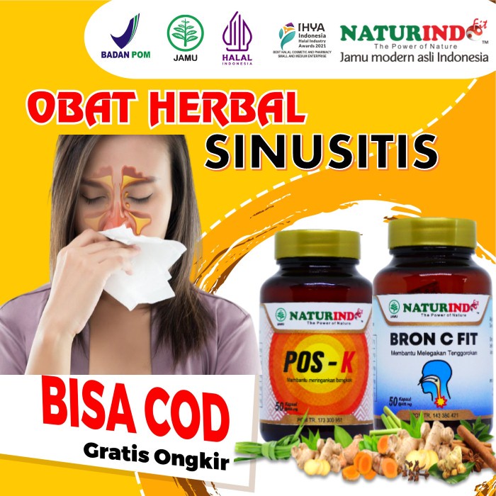 Jual Obat Sinusitis Sinus Kronis Rhinitis Alergi Hidung Mamapet Meler ...