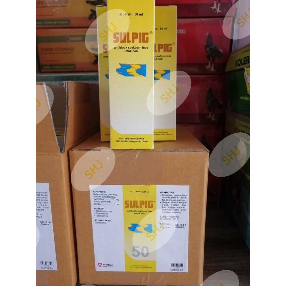 Jual SULPIG 50 ML (LARUTAN INJEKSI BABI) | Shopee Indonesia