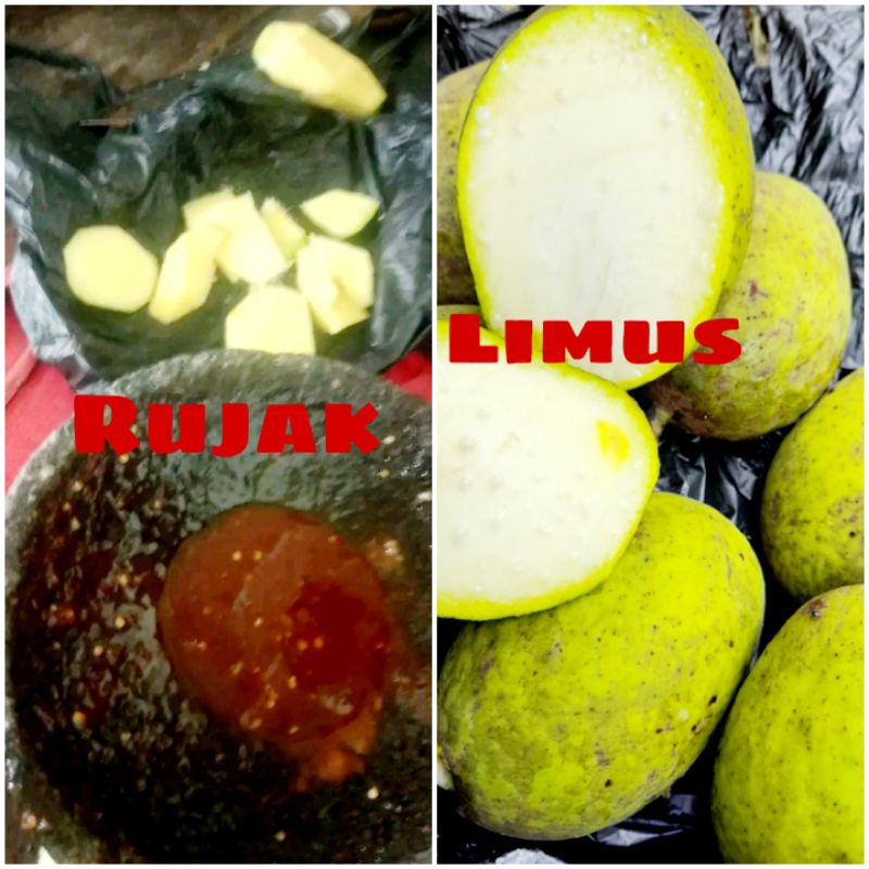 Jual BUAH LIMUS MUDA ATOU BUAH BACANG MUDA COCOK UNTUK IBU NGIDAM / 1 ...